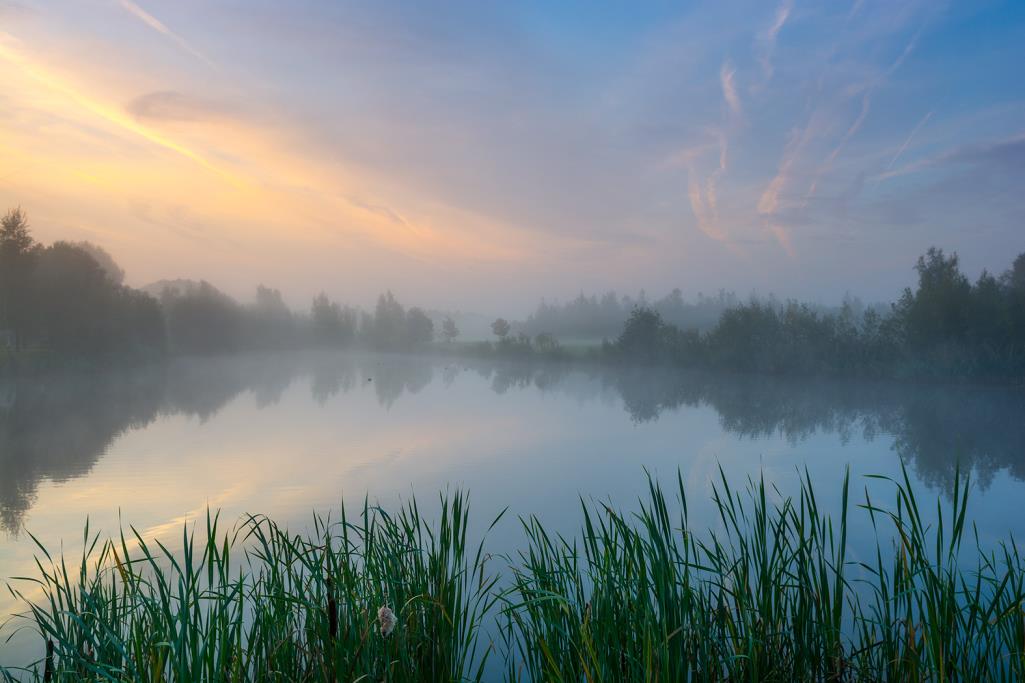 Home | Dorney Lake